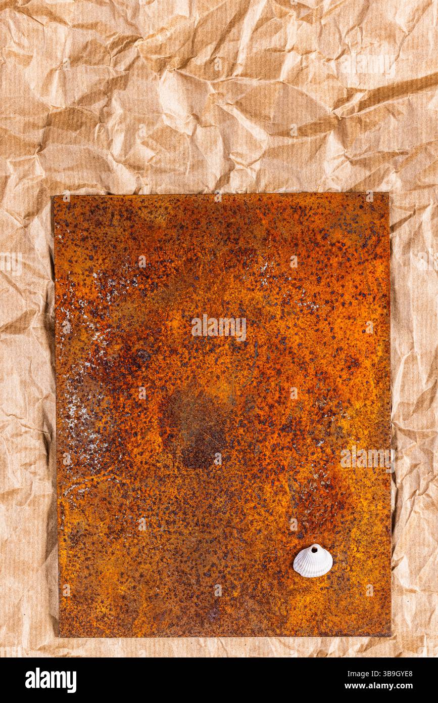 Shell on a rusty surface Stock Photo - Alamy