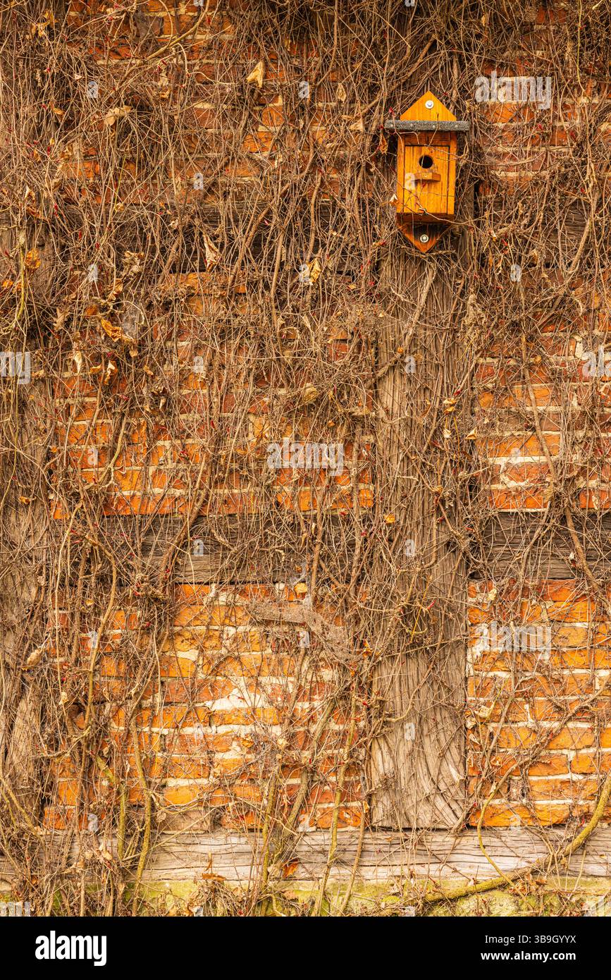 Bird house on an old rustic barn in late fall hi-res stock photography ...