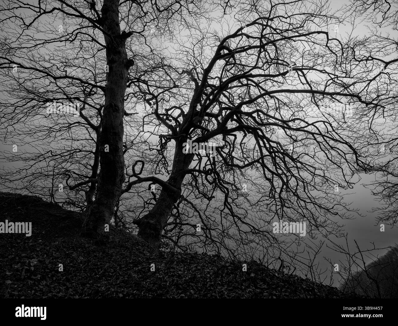 Steep site Black and White Stock Photos & Images - Alamy