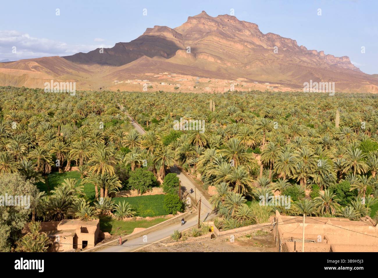 Large palm grove in Agdz at the foot of Djebel Kissane, Mount Kissane ...
