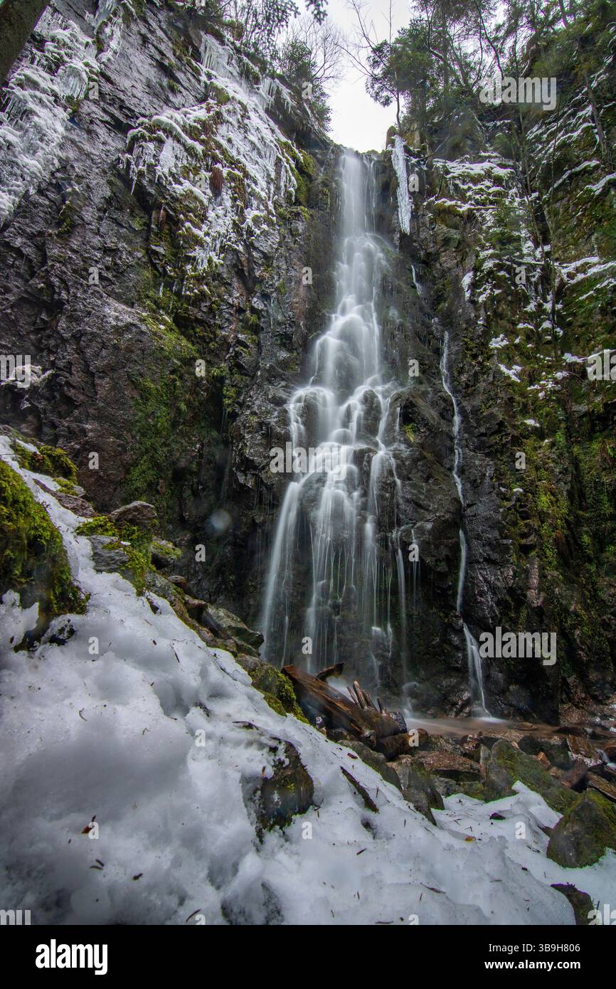 Snow falls on moss in hi-res stock photography and images - Alamy