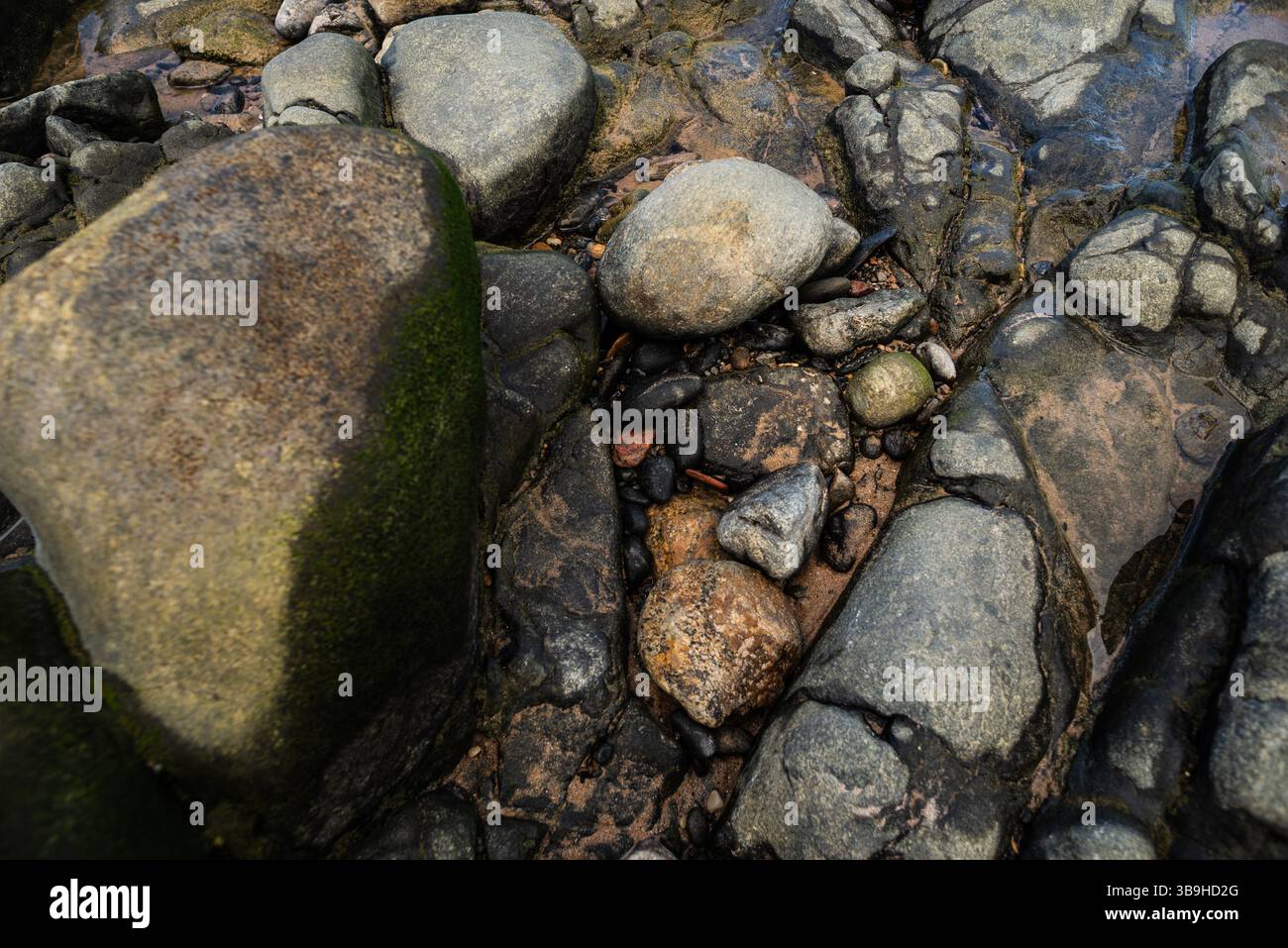 Wet rocks and stones on the edge of a beach. Preserved environment ...