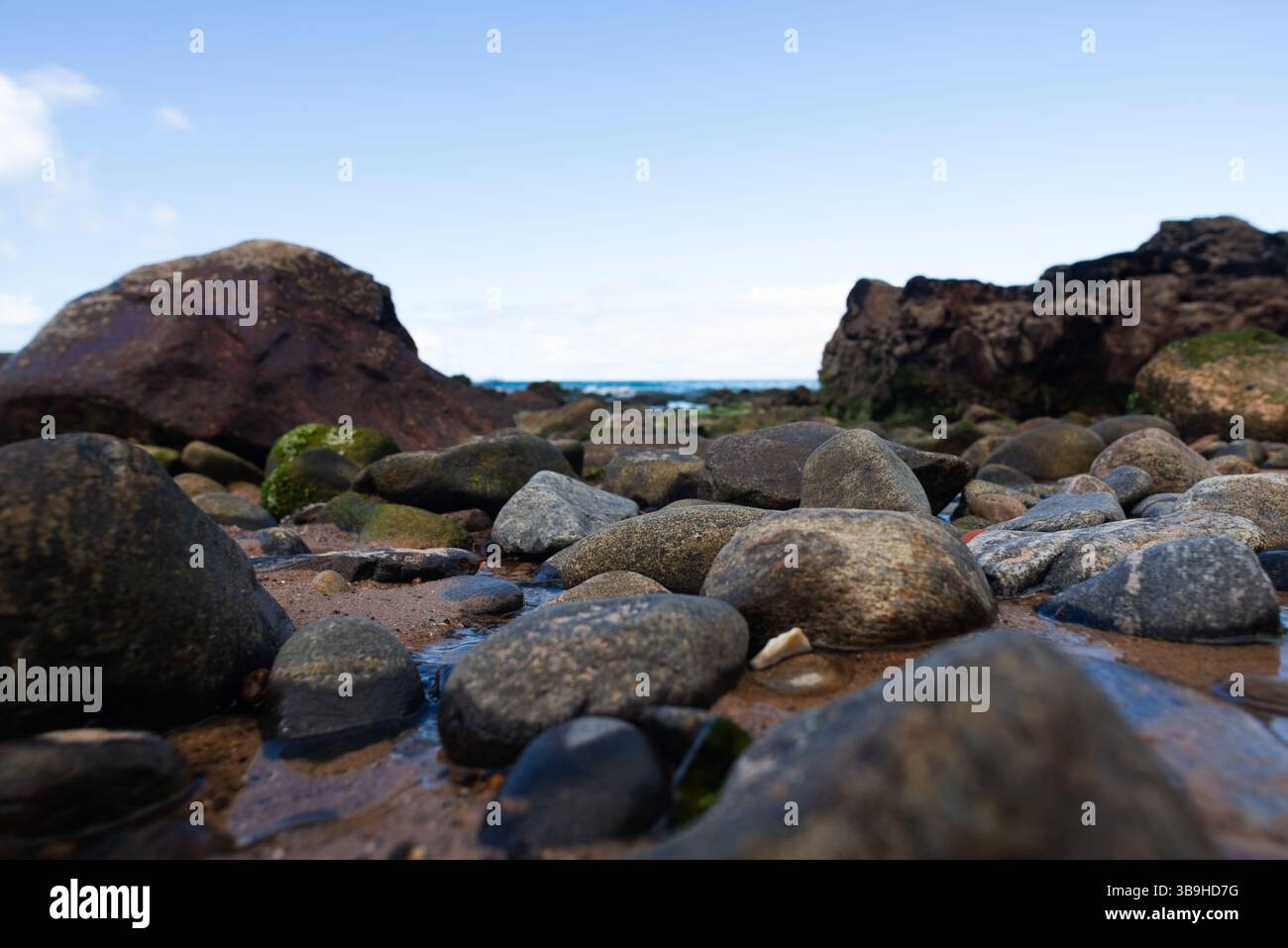 Wet rock formation full of texture on the edge of a beach. Preserved ...