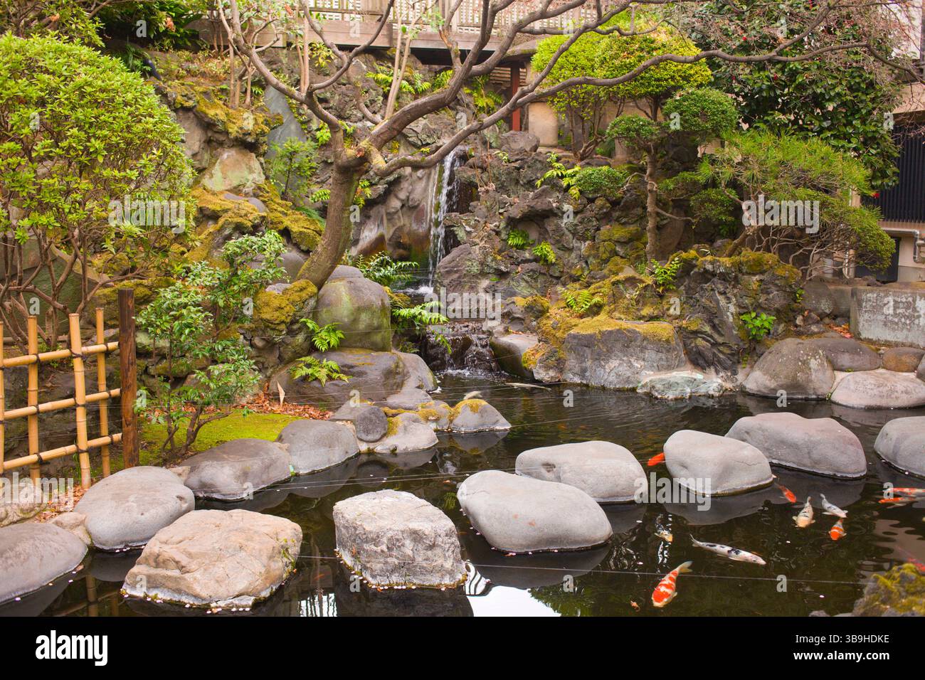 Japan, Tokyo, Matsuchiyama Shoden Temple, garden Stock Photo - Alamy