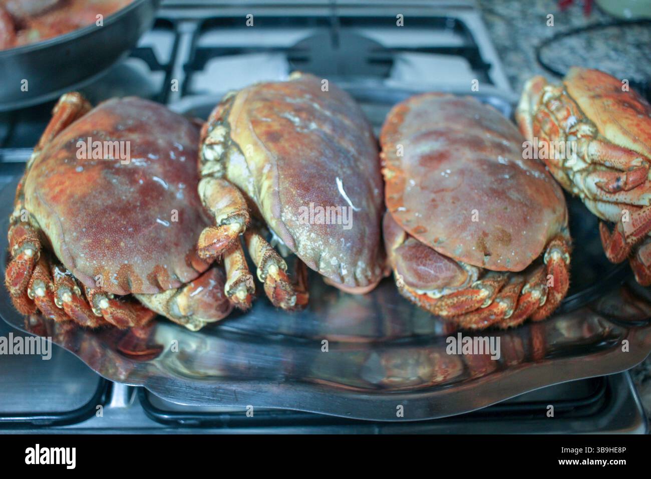 four brown crabs in a tray ready to be eaten Stock Photo - Alamy