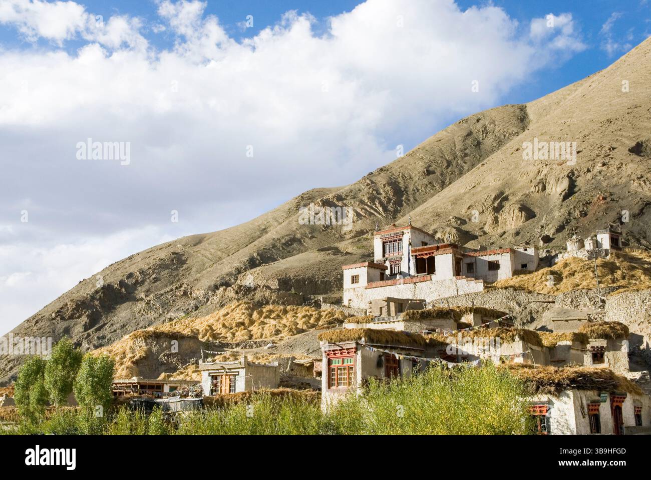 Rumbak village,Hemis National Park,Ladakh region, state of Jammu and ...