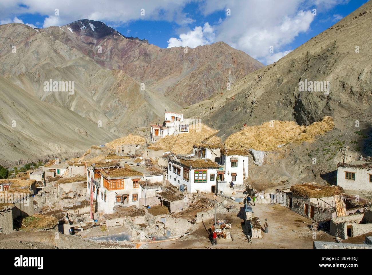 Rumbak village,Hemis National Park,Ladakh region, state of Jammu and ...