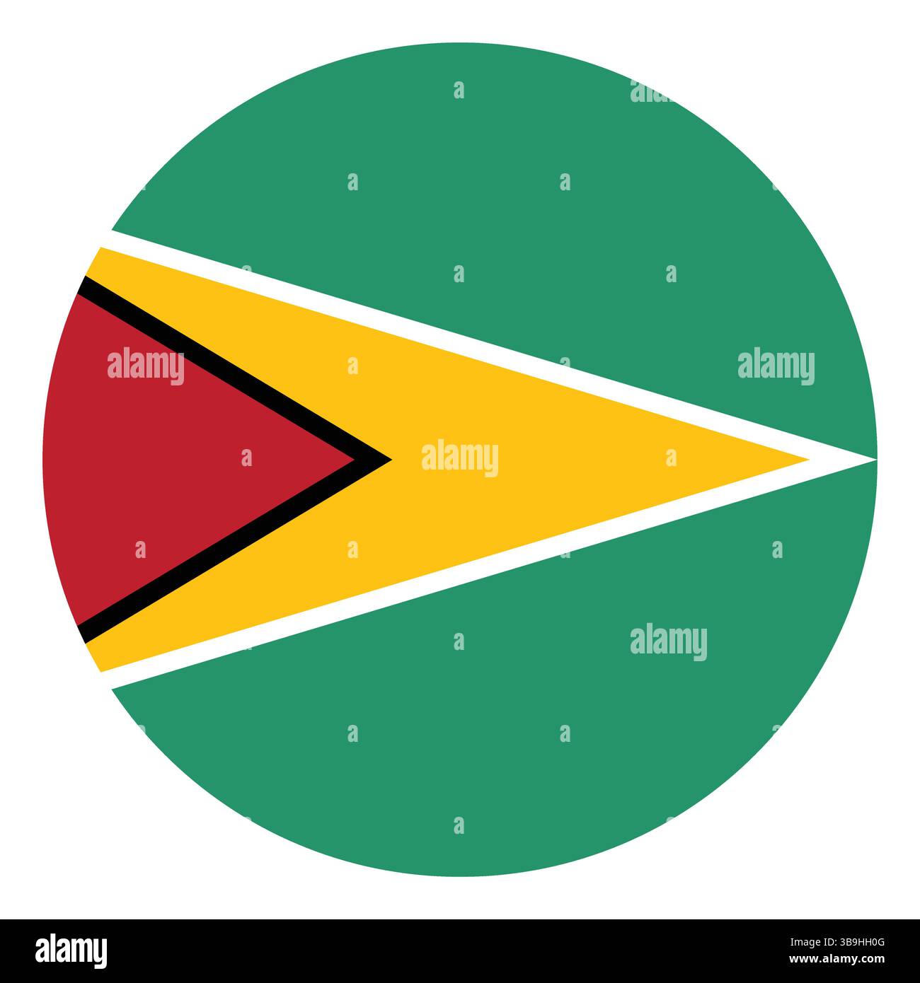 Flag of Guyana. Guyana circle flag logo icon computer vector ...