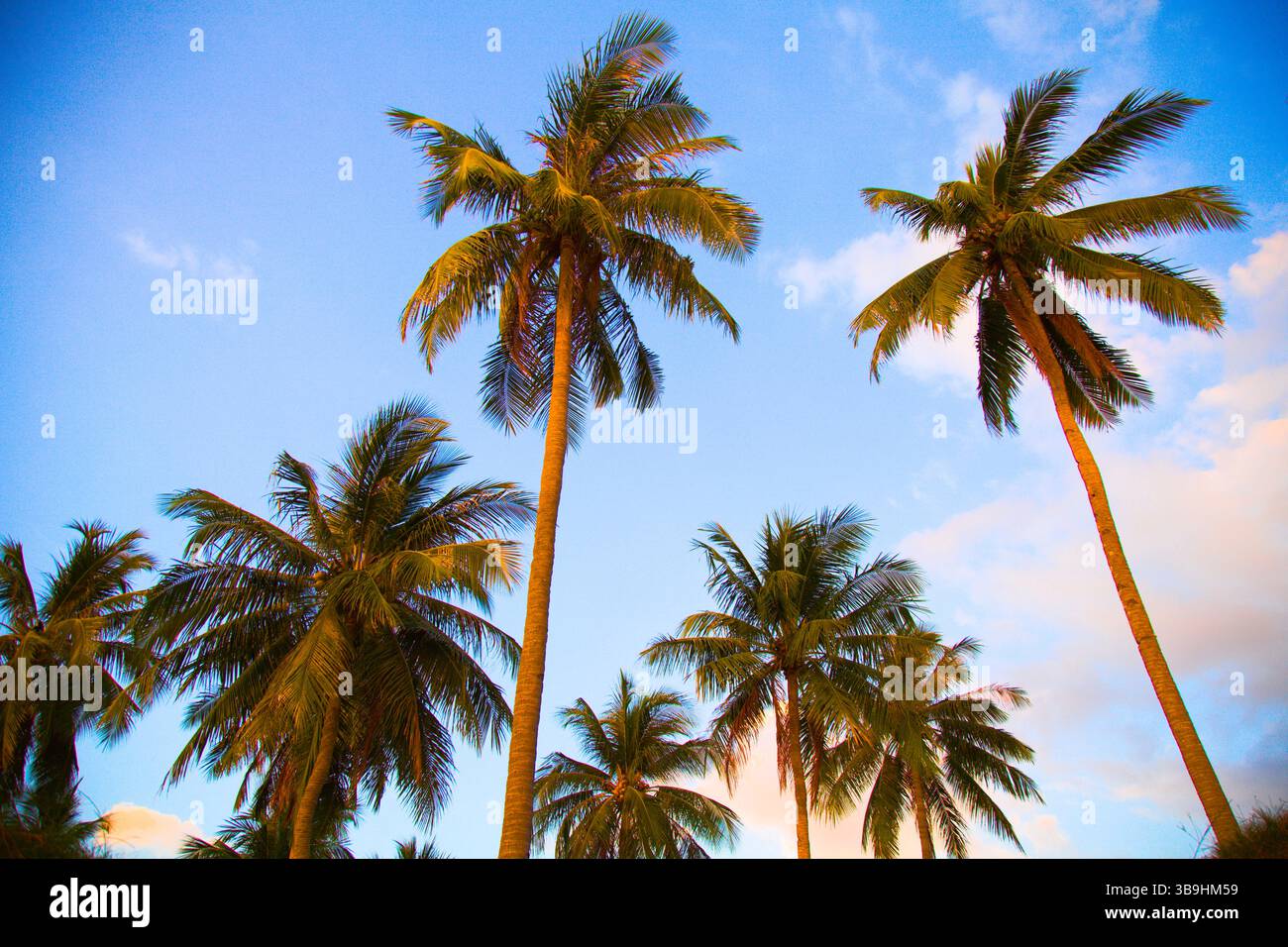 Malaysia, Langkawi, Pantai Cenang, Cenang Beach Stock Photo - Alamy