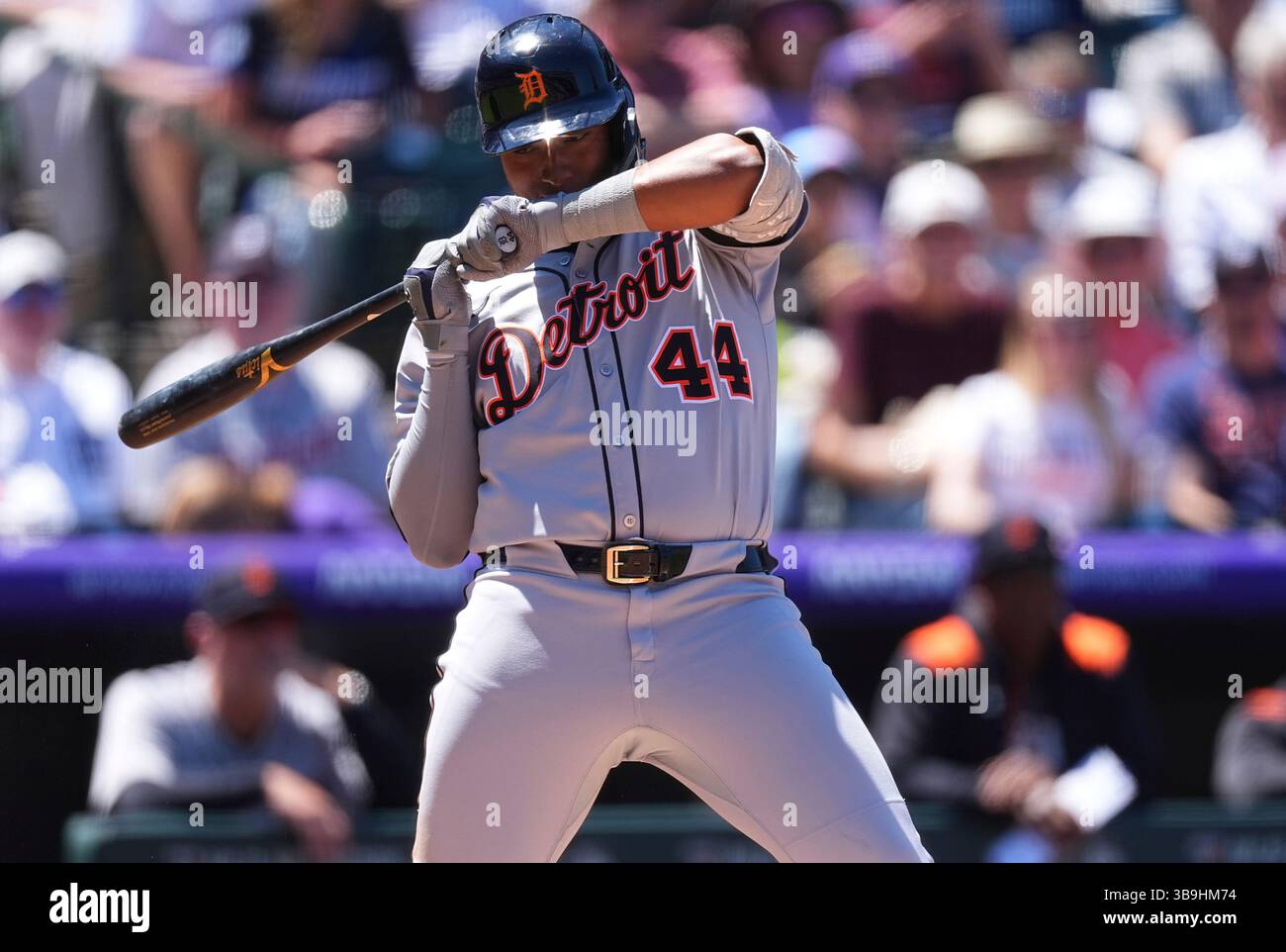 Detroit Tigers outfielder Justyn-Henry Malloy (44) during the second ...