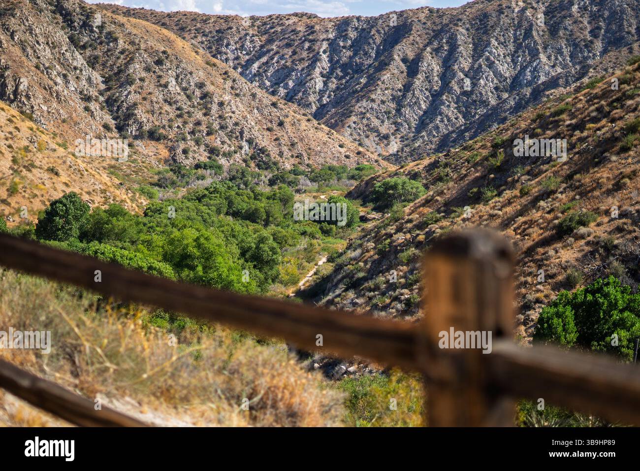 View of Canyon Trail at the Big Morongo Canyon Preserve in Morongo ...