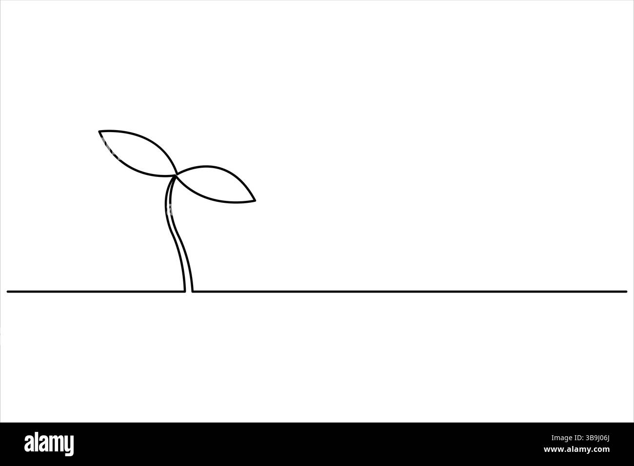 Plant maple sapling Stock Vector Images - Alamy