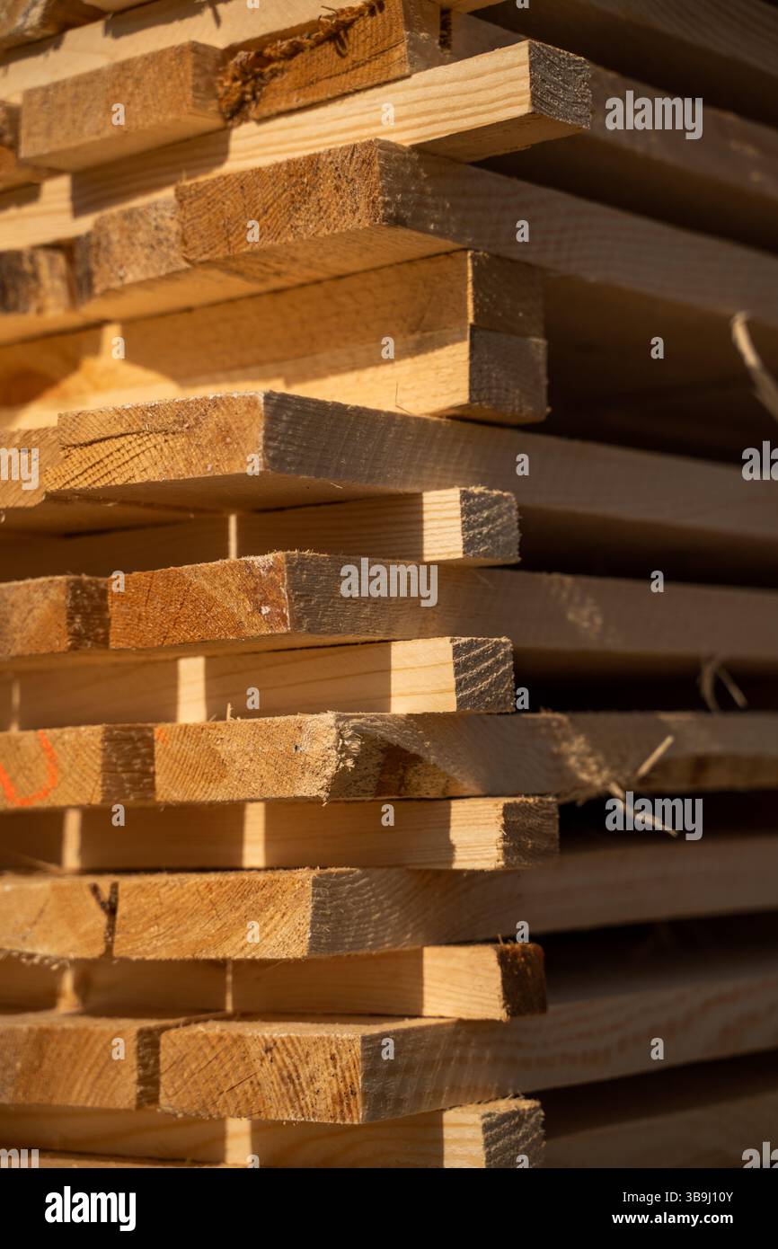 Detailed view of freshly sawn wood planks stacked outdoors, showing ...