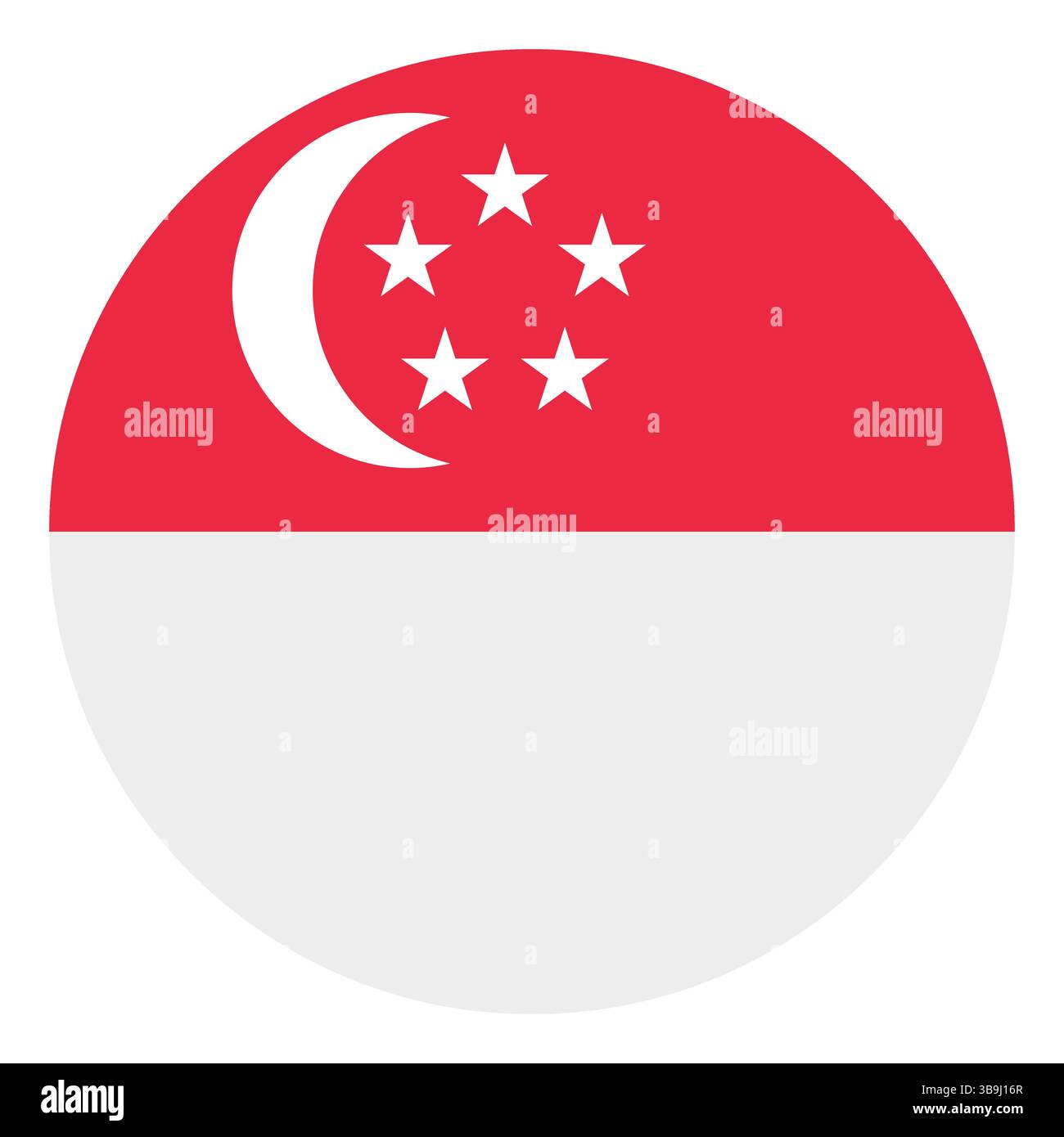 Flag of Singapore. Singapore circle flag logo icon computer vector ...