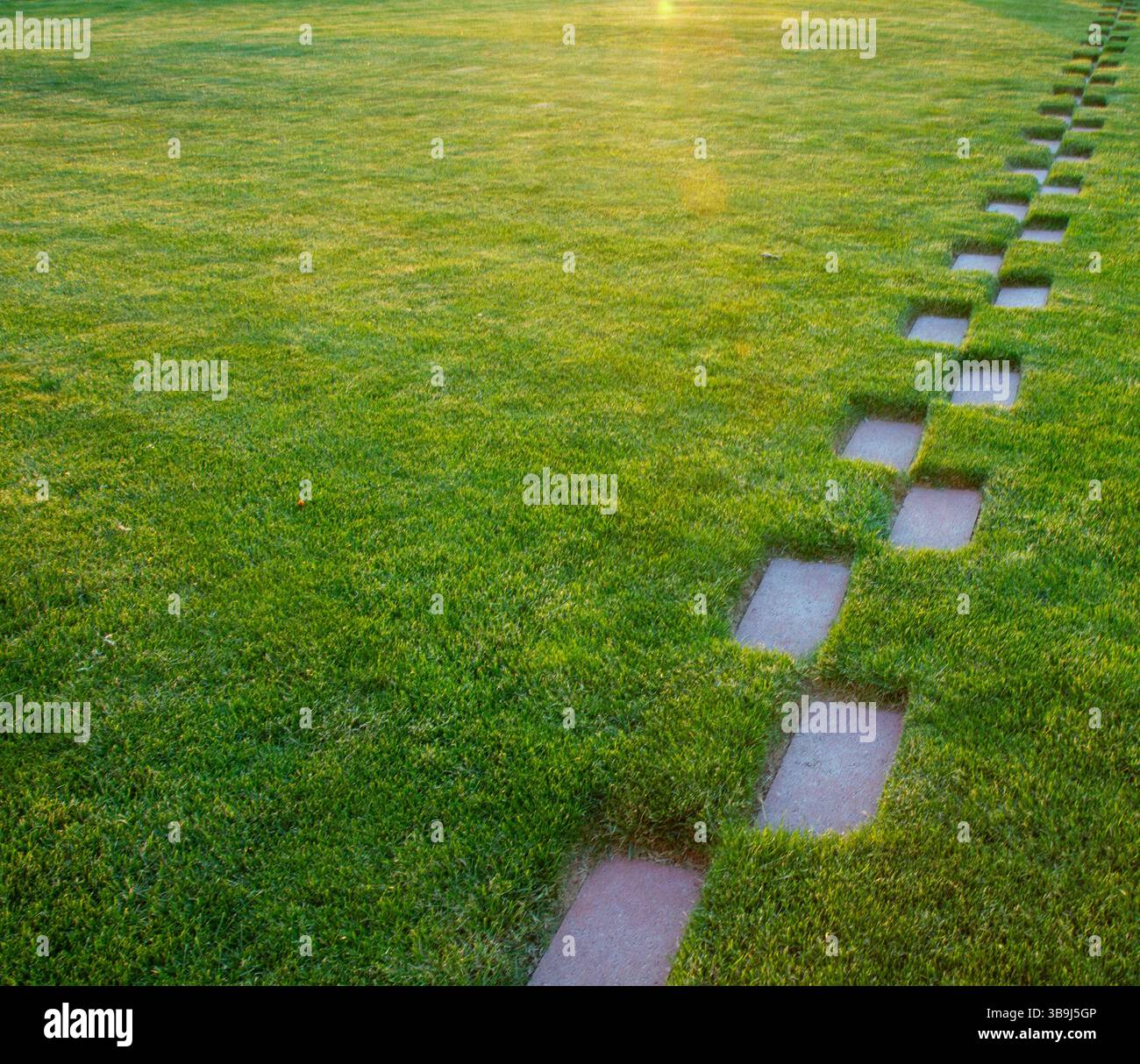 A path is cut through a lush green field. The path is made of small ...