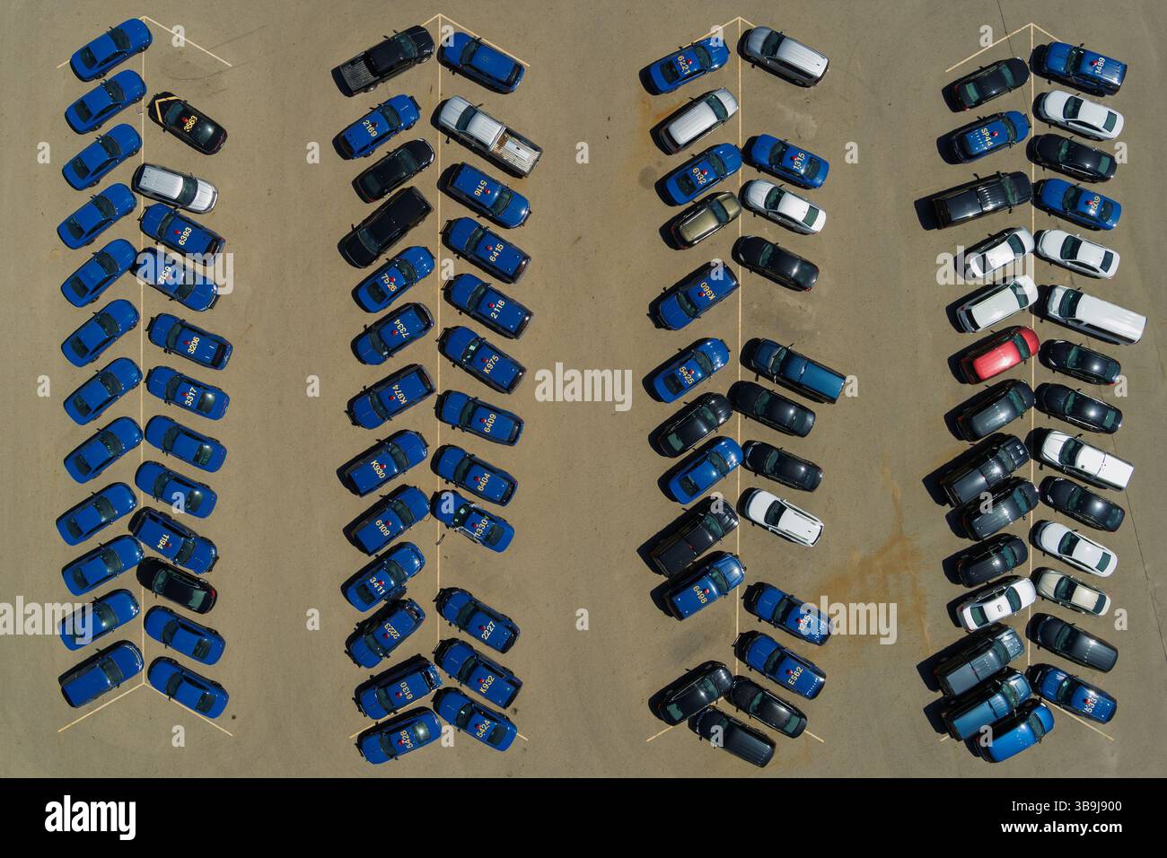 Aerial View of Parked Police Vehicles Stock Photo - Alamy
