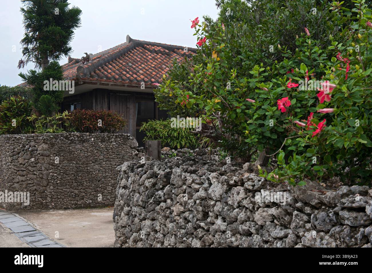 Typical single-story, single-family residence on Taketomi Island with ...