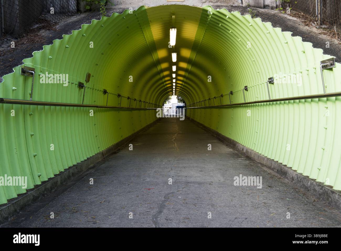 Yuen kei hi-res stock photography and images - Alamy