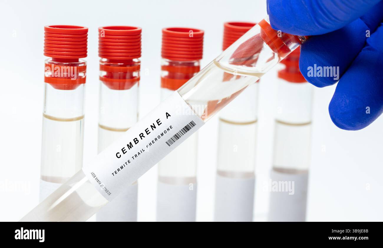 Cembrene A. Termite trail pheromone. Used by termites to mark foraging ...