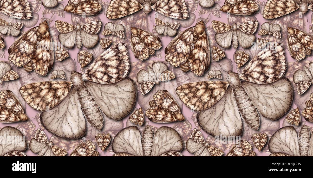 Grey-brown moth, with wings folded and spread, watercolor illustration ...