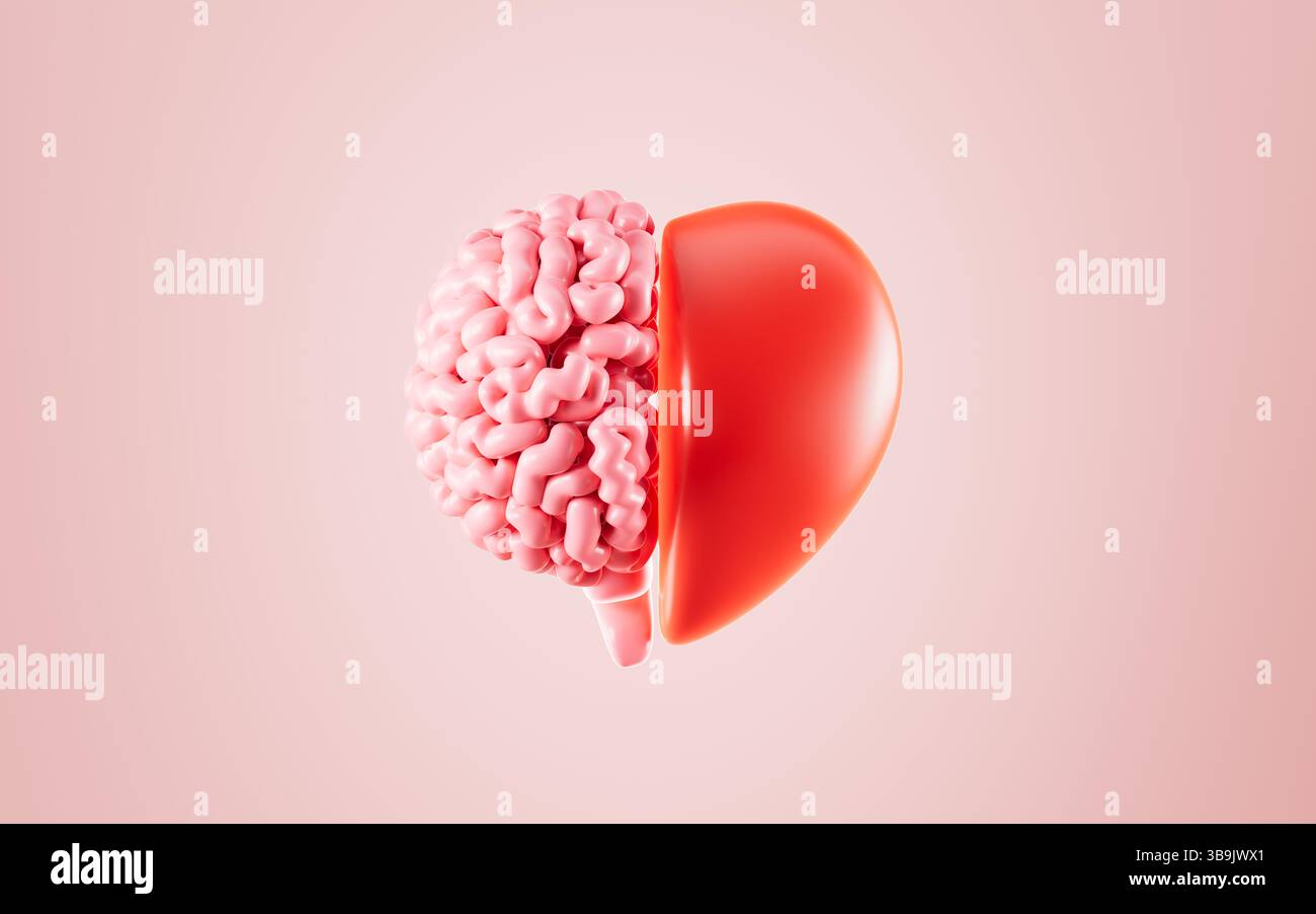 Human heart and brain connection, control feeling and emotion with ...