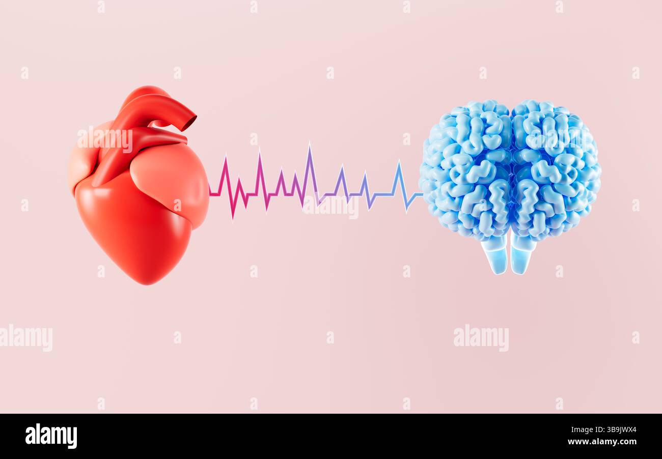 Human heart and brain connection, control feeling and emotion with ...