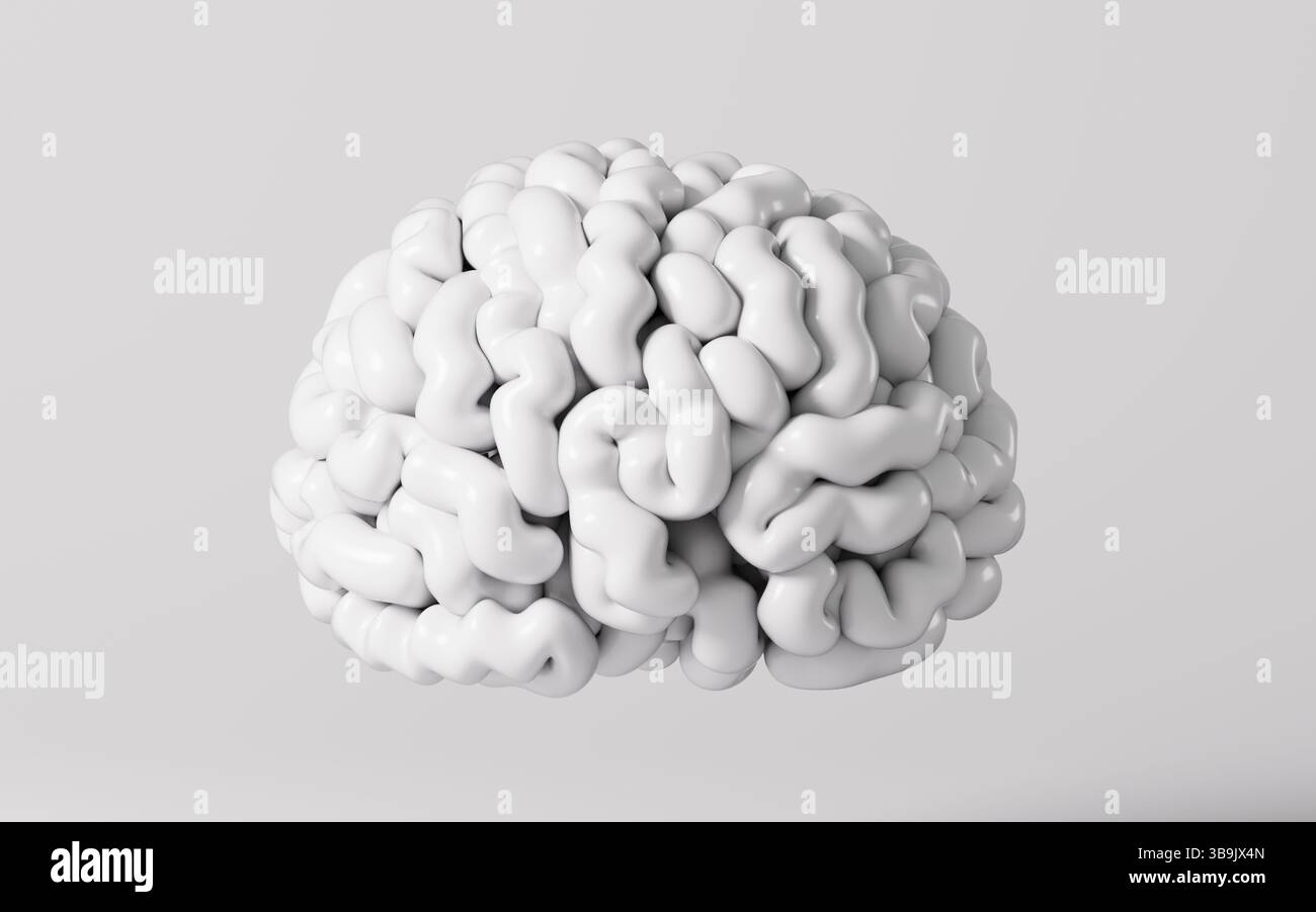 Cartoon human brain model, 3d rendering. 3d illustration Stock Photo ...