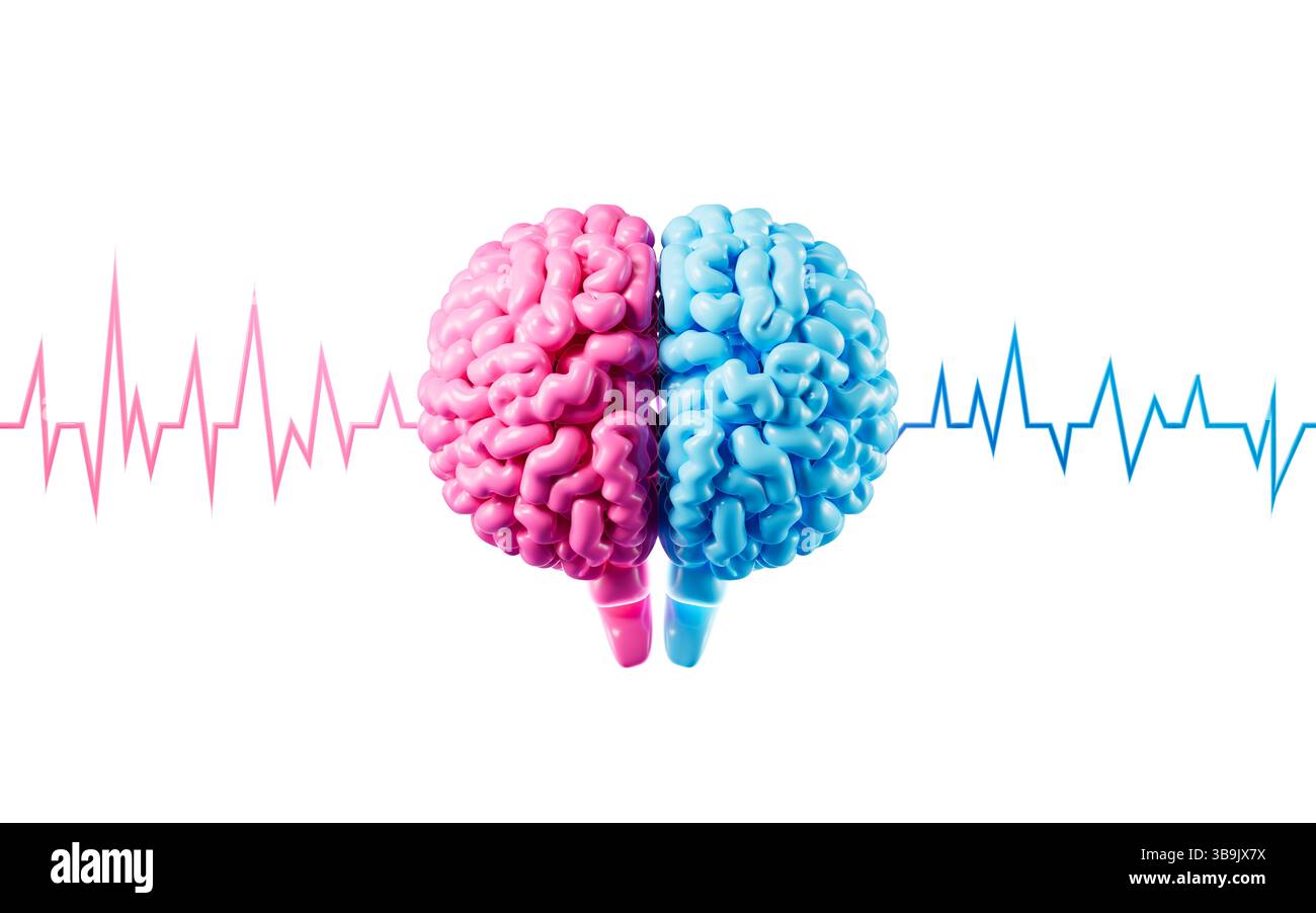 The human brain and brain waves, brain consciousness and thinking, 3d ...