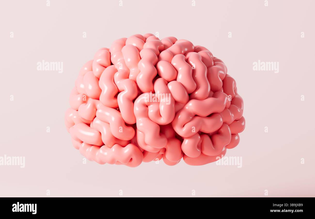 Cartoon human brain model, 3d rendering. 3d illustration Stock Photo ...