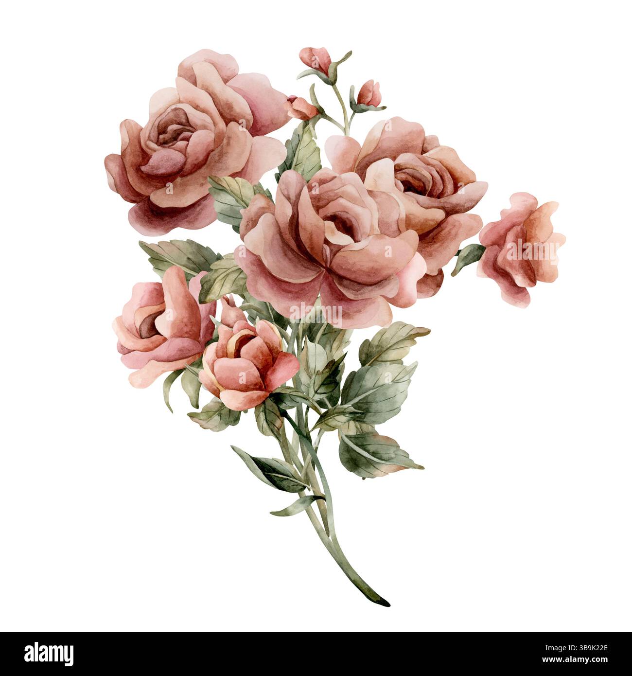 Rose flower with buds and leaves. Dusty pink garden flowers arrangement ...