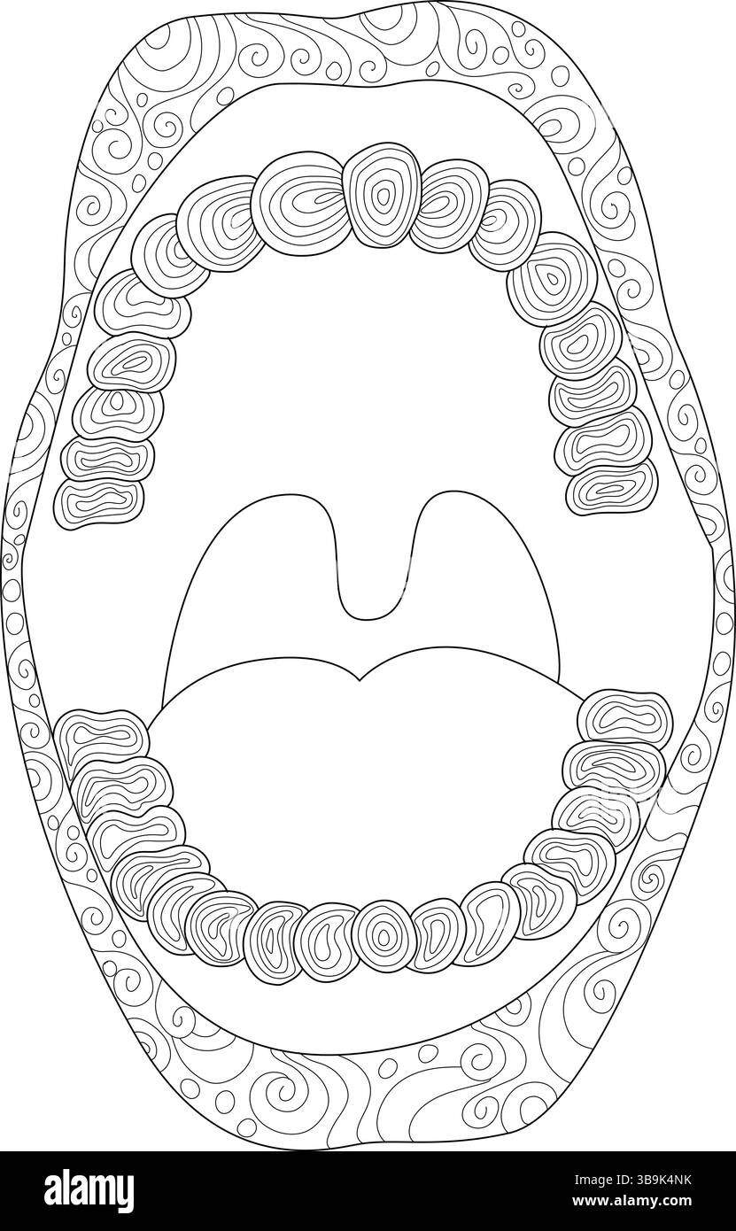 Detailed black and white line drawing illustration of the human mouth ...