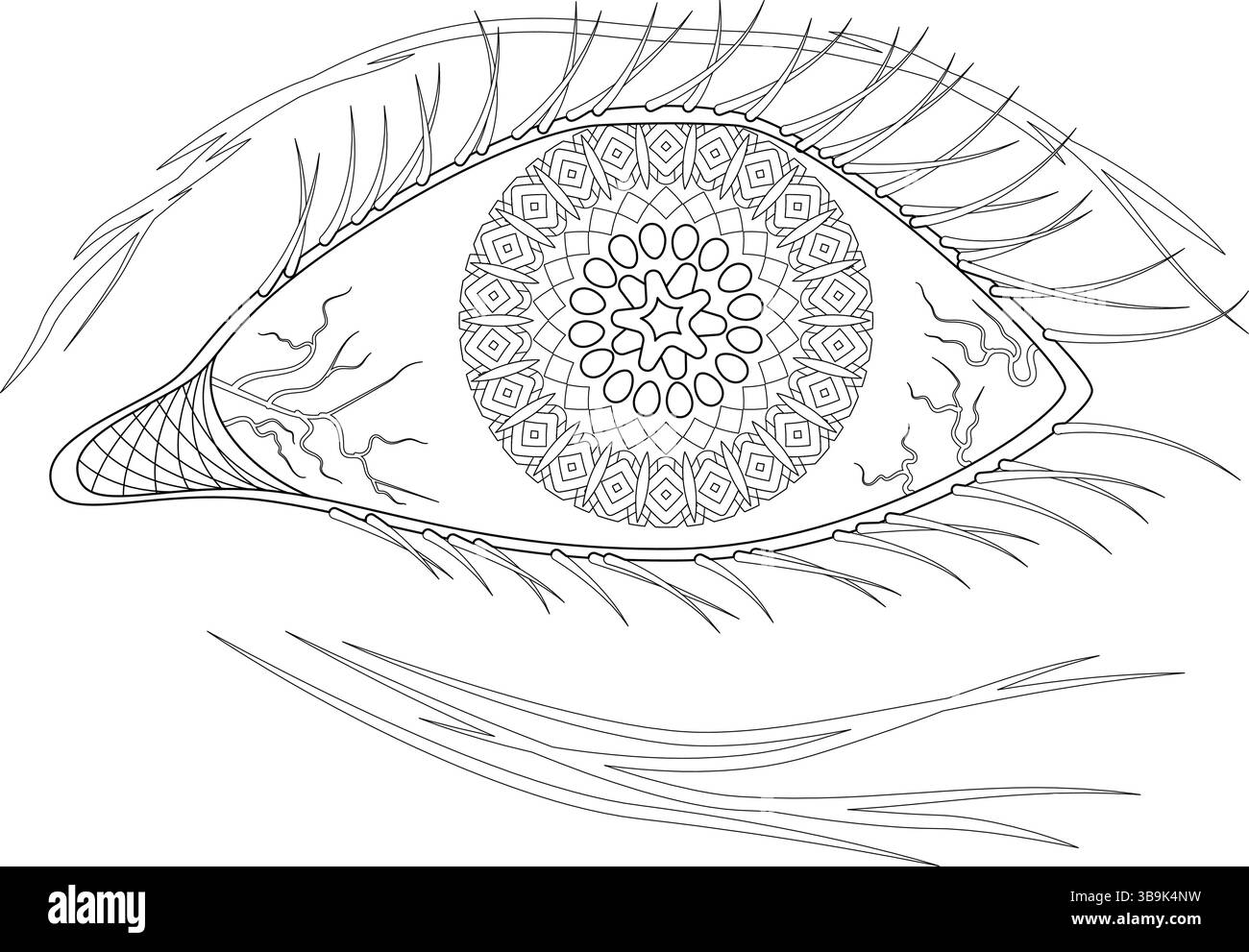 Detailed line art illustration of a human eye featuring veins on the ...
