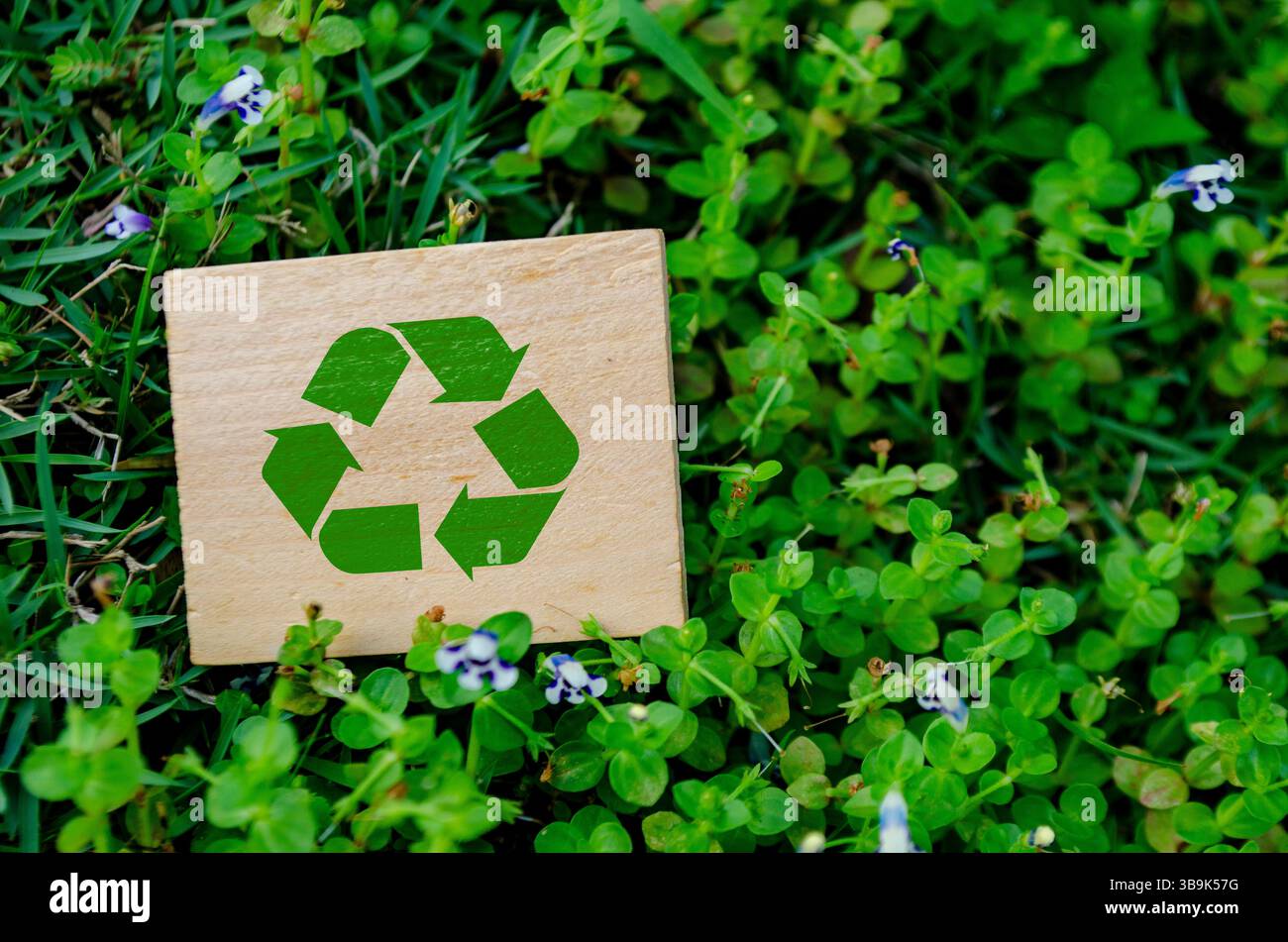 Top view of Recycle symbol on wooden block with customizable space for ...