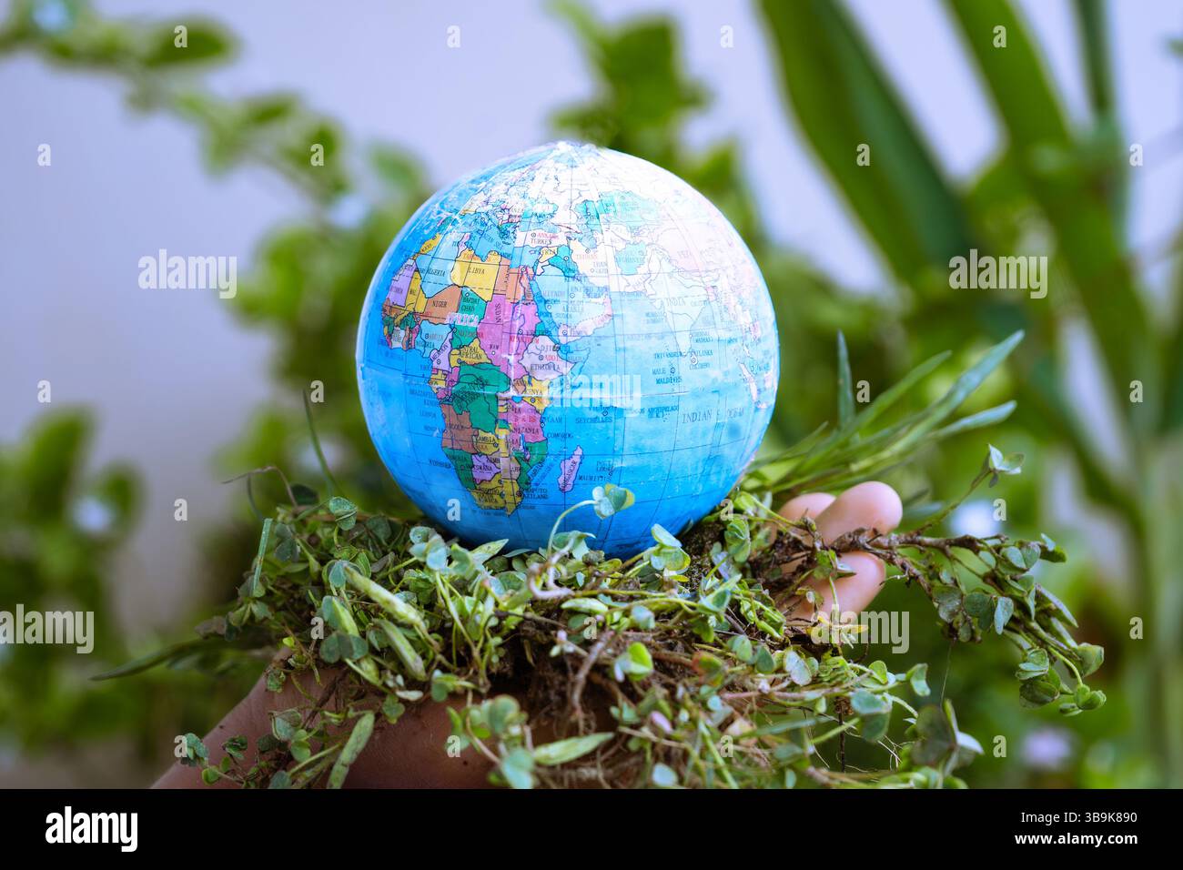 Hands hold nature and Earth symbol of hope, growth, and care for ...