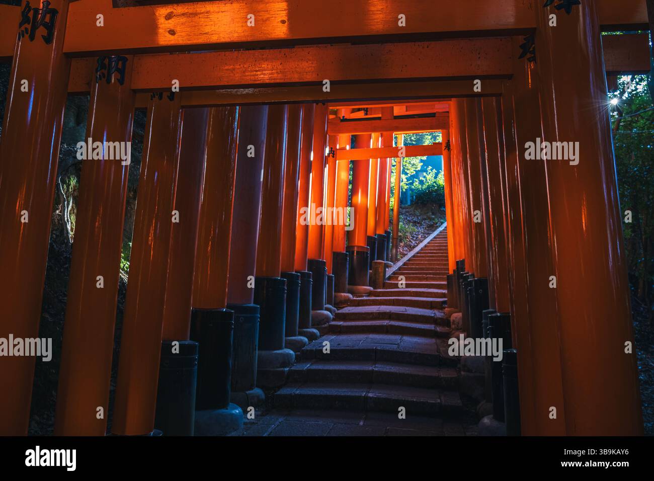 Vermilion torii gates at Fushimi Inari shrine in Kyoto, Japan Stock ...