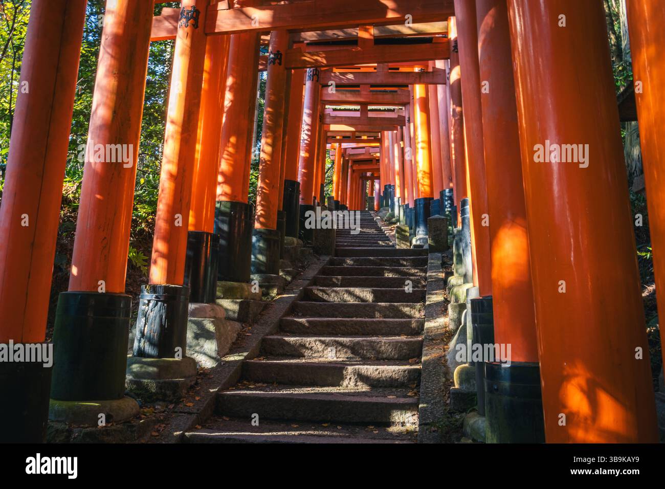 Vermilion torii gates at Fushimi Inari shrine in Kyoto, Japan Stock ...