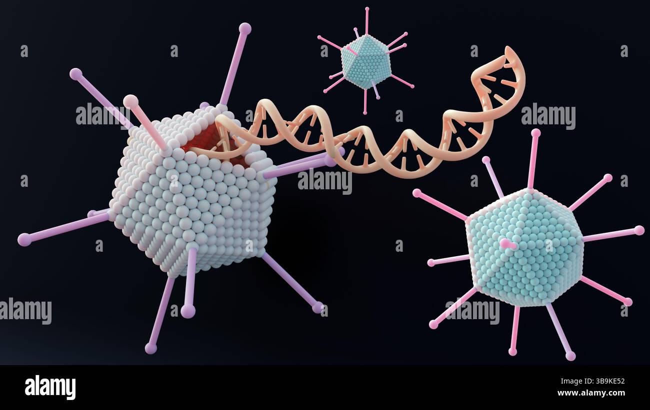 A 3d rendering of protective protein shell of the adenovirus with its ...
