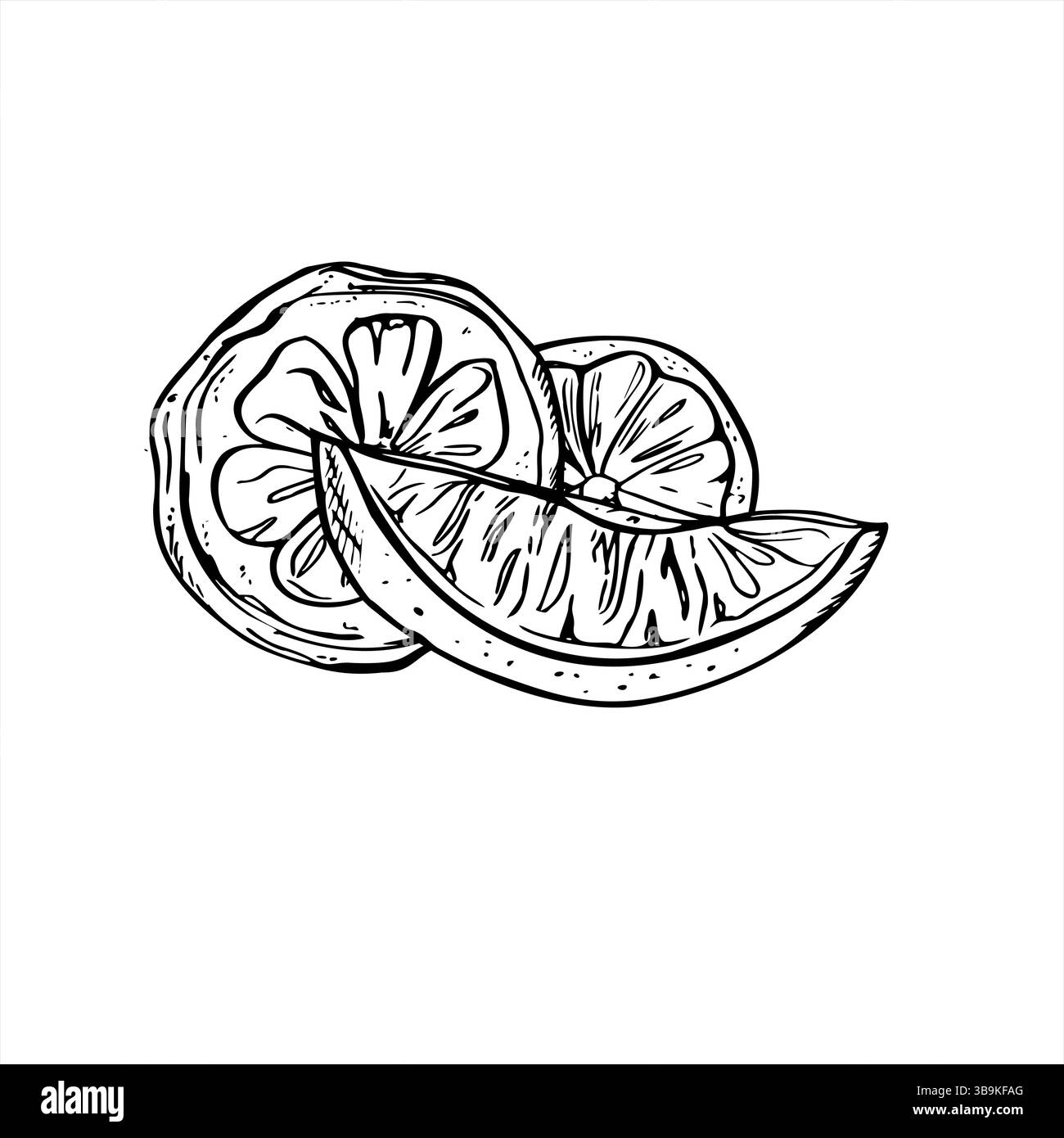 Citrus lime fruit in Black and White Stock Photos & Images - Alamy