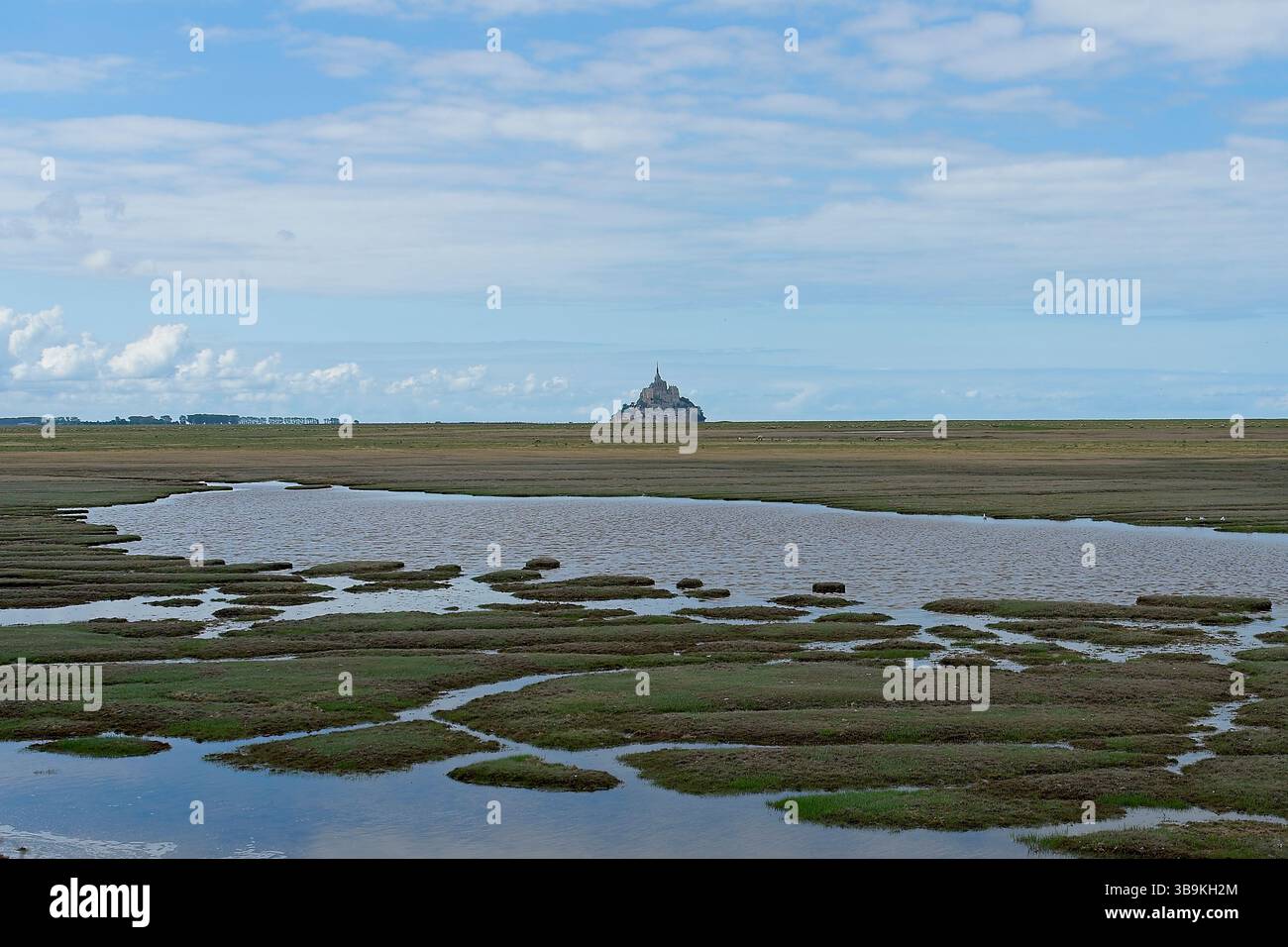 View over the salt marshes and wetlands of the iconic landmark the ...