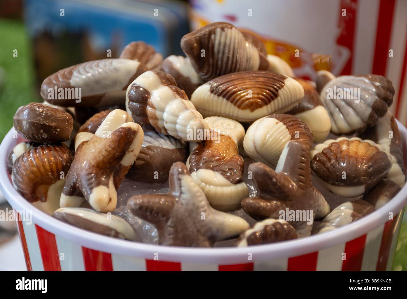 Famous Belgian handmade with no palm oil added chocolate candies on ...