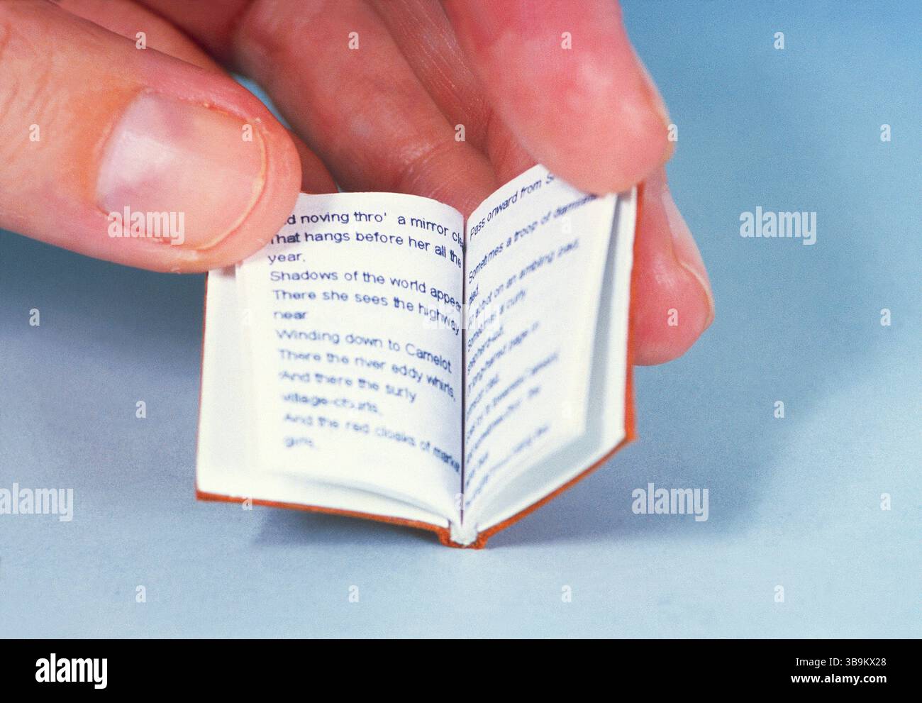 Hand showing a book in miniature Stock Photo - Alamy