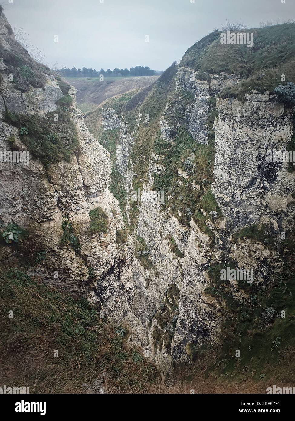 A deep, narrow gorge with steep, rocky cliffs covered in patches of ...