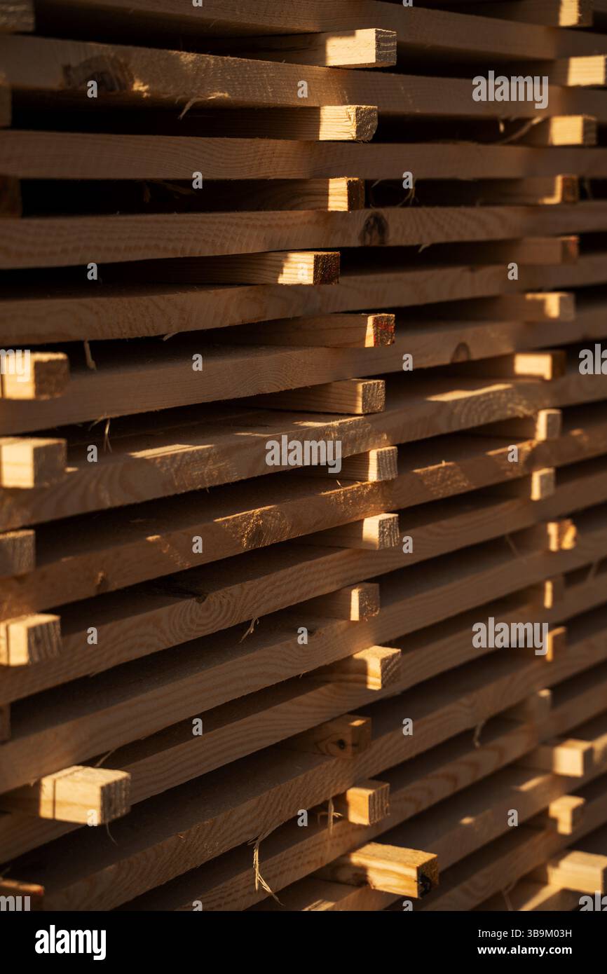 A close-up of neatly stacked wooden boards drying in sunlight at a ...