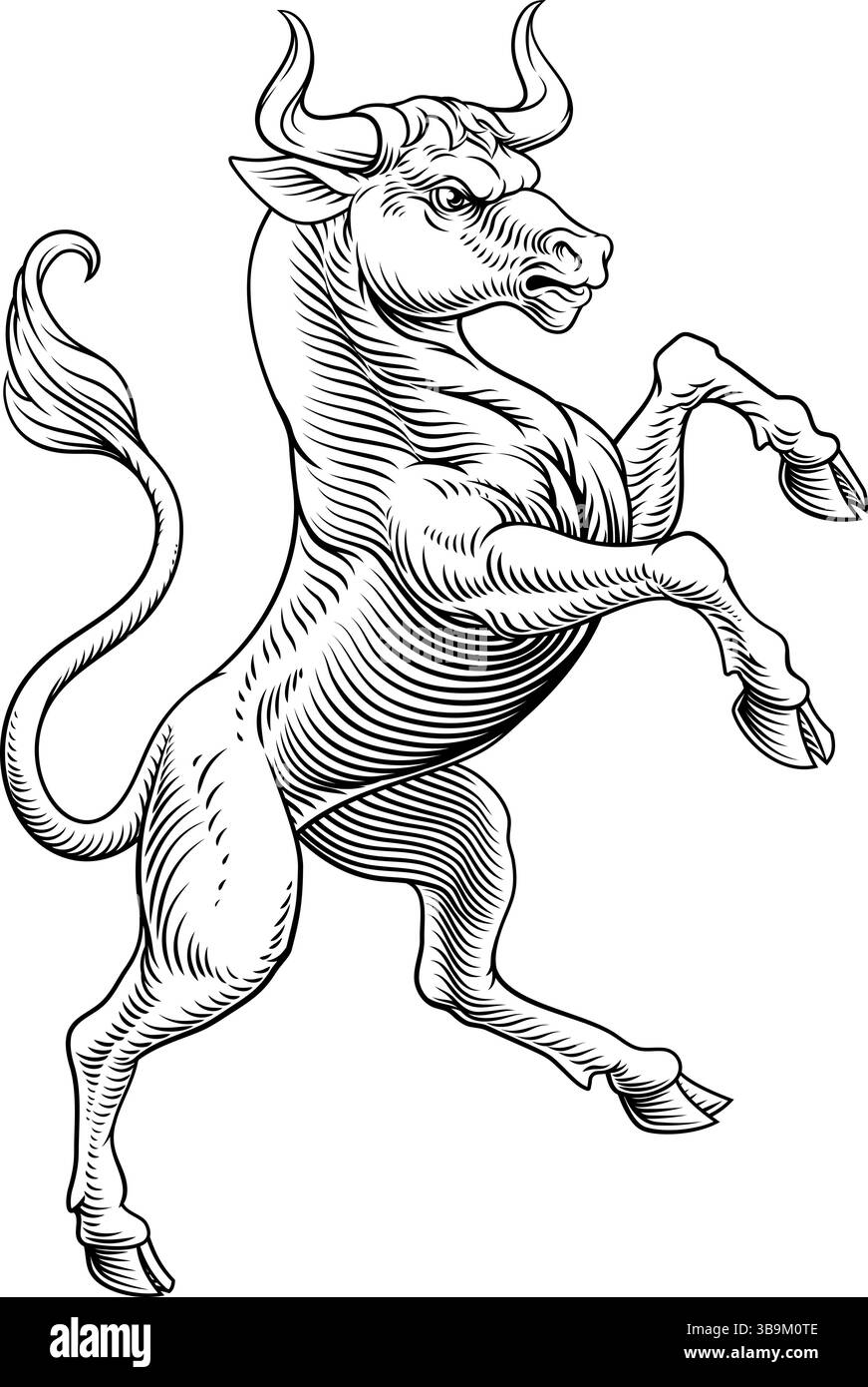 Bull Heraldry Coat of Arms Heraldic Crest Animal Stock Vector Image ...