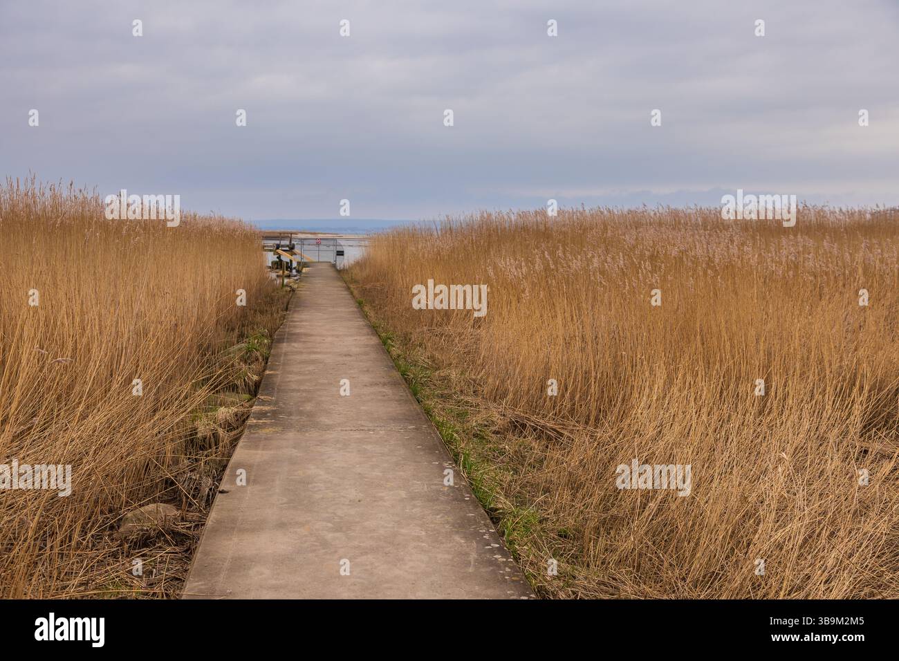 Straight concrete walkway cutting hi-res stock photography and images ...