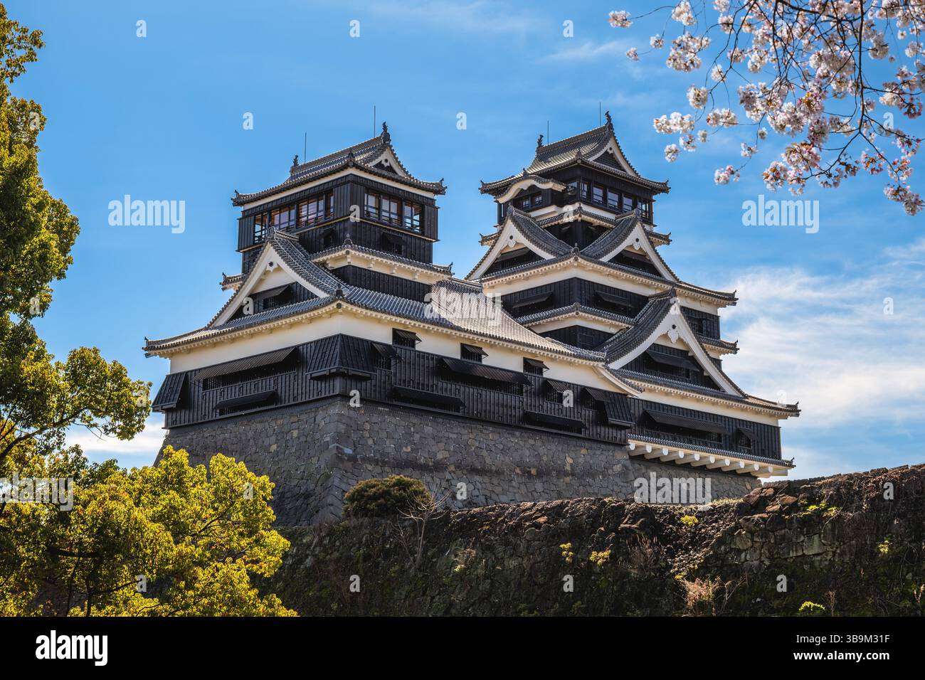Cherry blossom japan kumamoto castle hi-res stock photography and ...