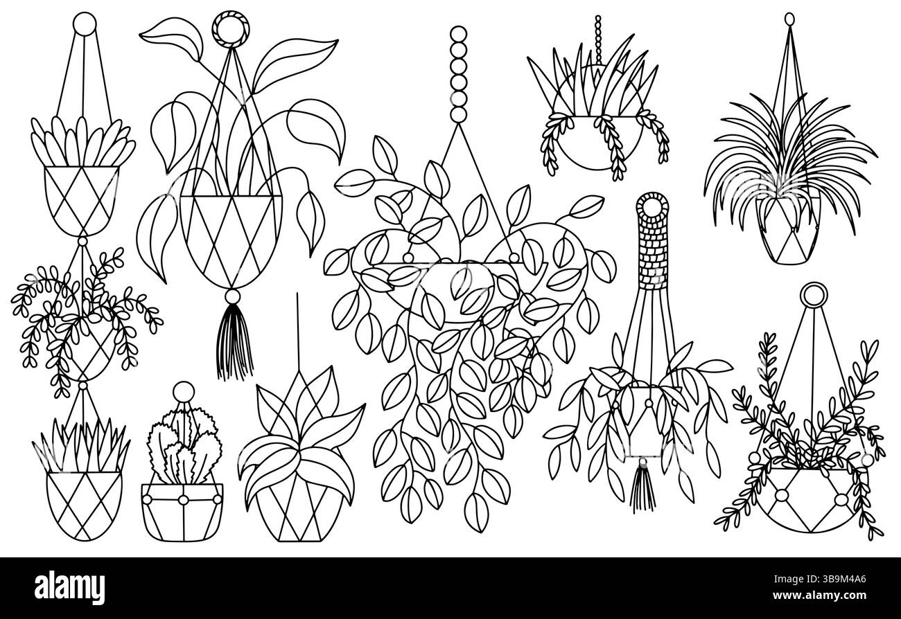Macrame hanging home plants sketch vector set Stock Vector Image & Art ...