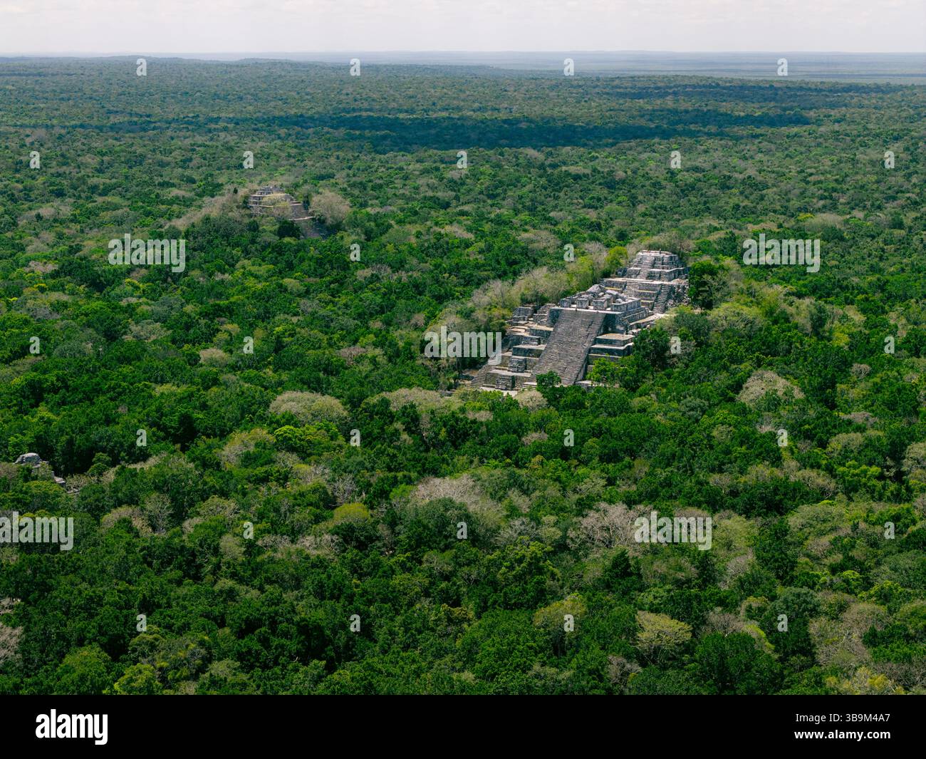 Calakmul maya archaeological site hi-res stock photography and images ...