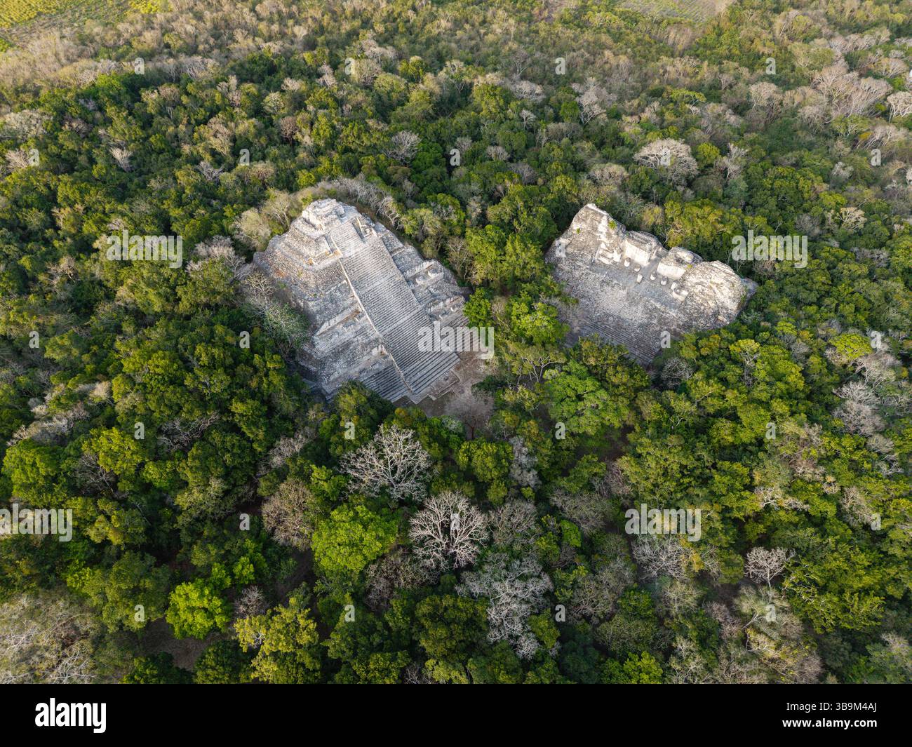 Becan mayan pyramid complex hi-res stock photography and images - Alamy