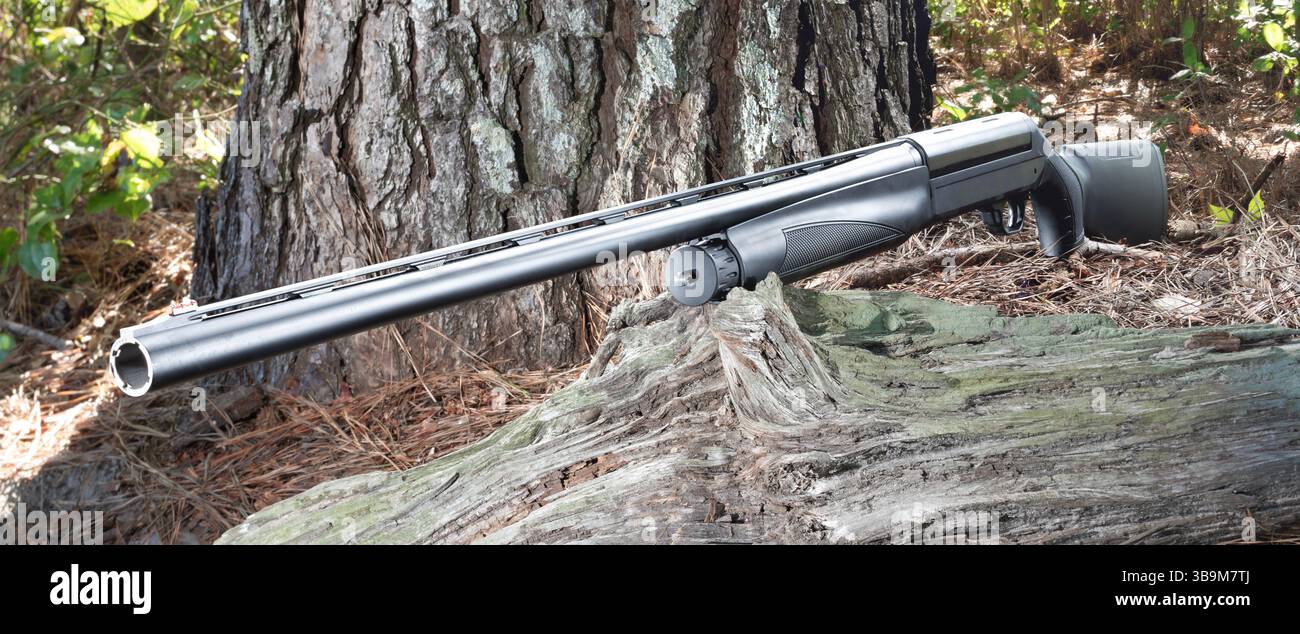 Semi-automatic 12-gauge shotgun for hunting in a forest that is resting ...